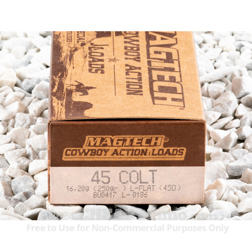 Magtech - 1000 Rounds - 250 Grain Lead Flat Nose - 45 Long Colt